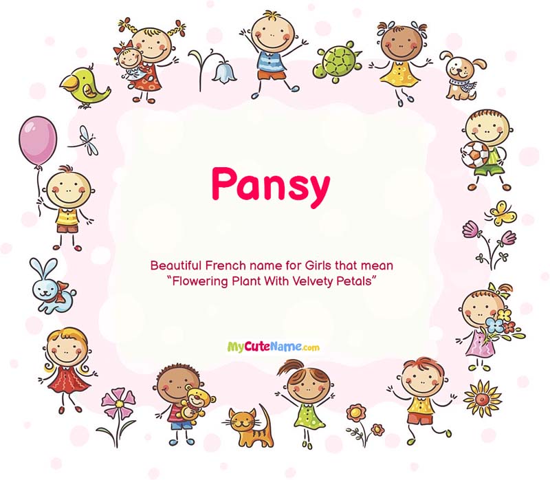 Pansy meaning **UPDATE 2023** | what is the meaning of name Pansy ...